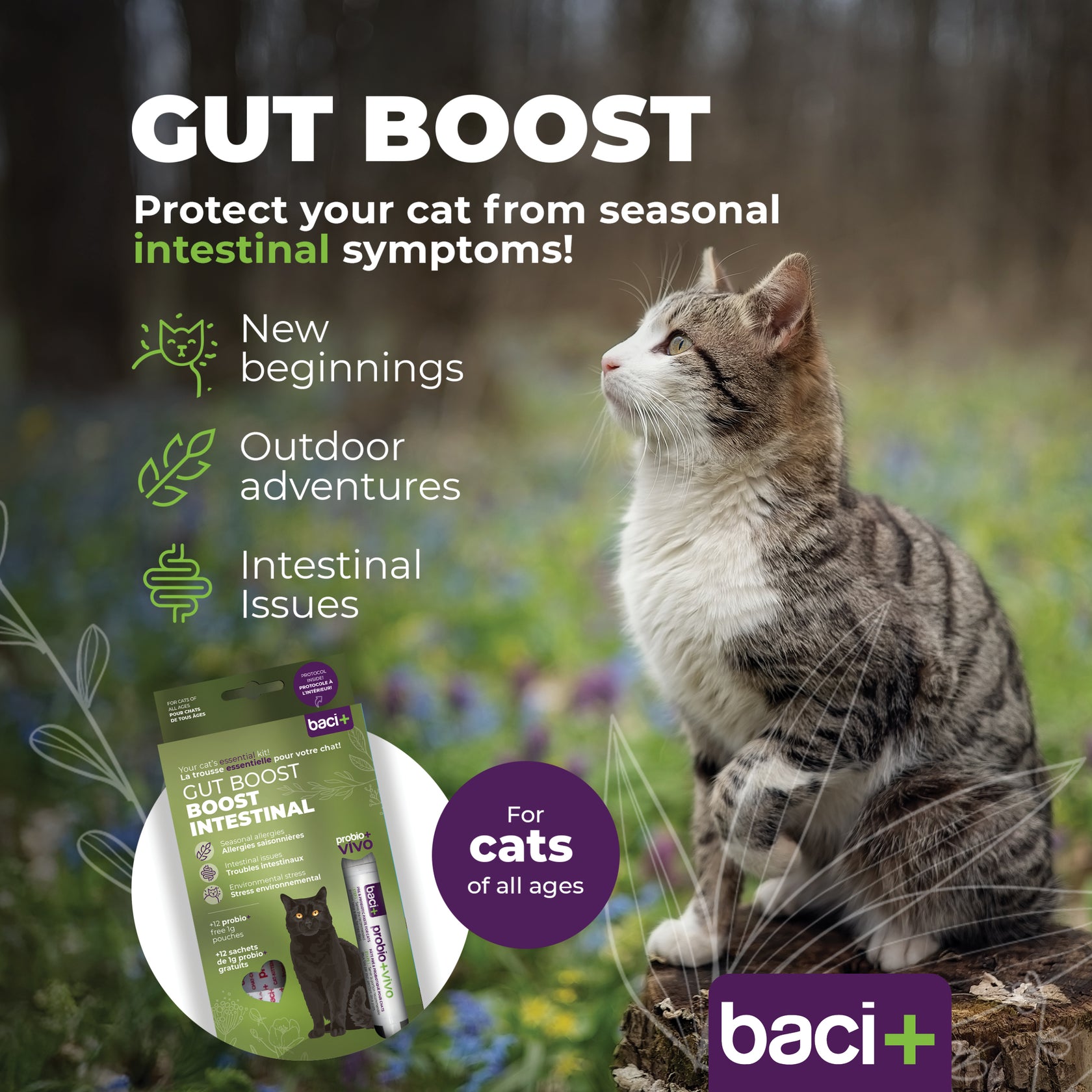 Gut boost kit | pre and probiotics | cats – baci+